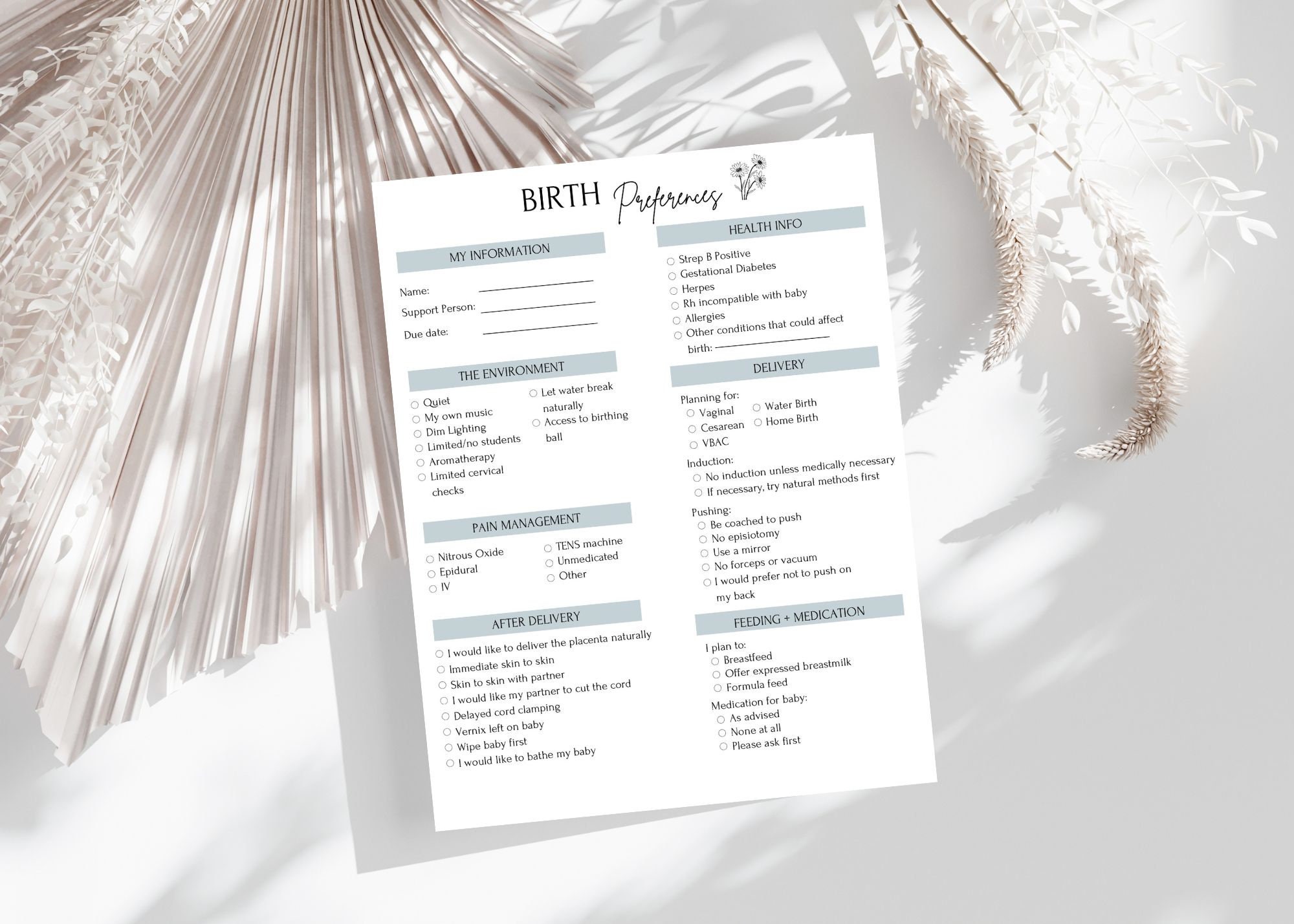 Customizable Aesthetic Birth Plan Template | Editable Canva Pdf ...