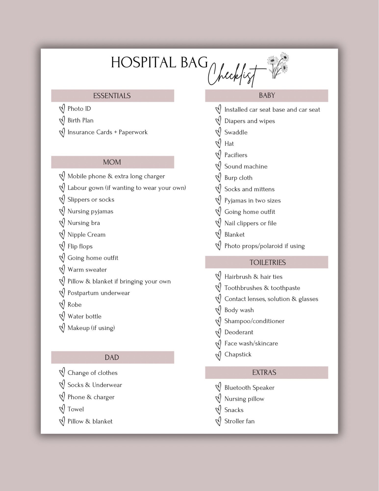 Birth Plan and Hospital Bag Checklist BUNDLE Customizable Aesthetic ...