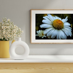 Daisy and the Spider Photography Print, Digital Download, Wall Art ...