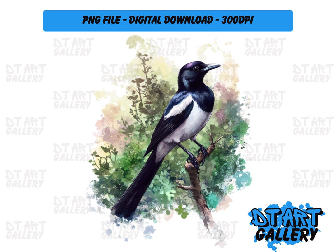 Beautiful Magpie Bird Watercolour Style Clipart - Digital Download ...