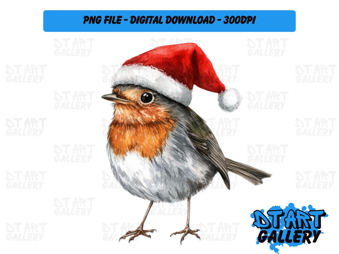 Robin Bird Santa Hat Christmas Xmas Themed Clipart - Digital Download ...