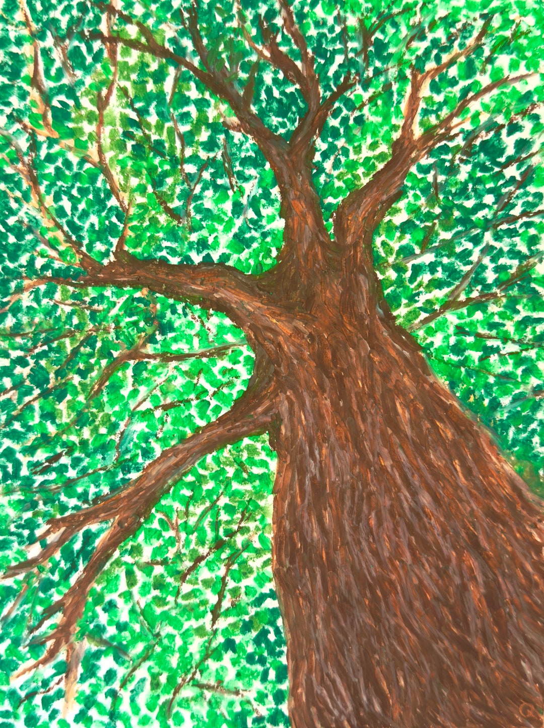 Camphor Tree Canopy View in Oil Pastels - Etsy