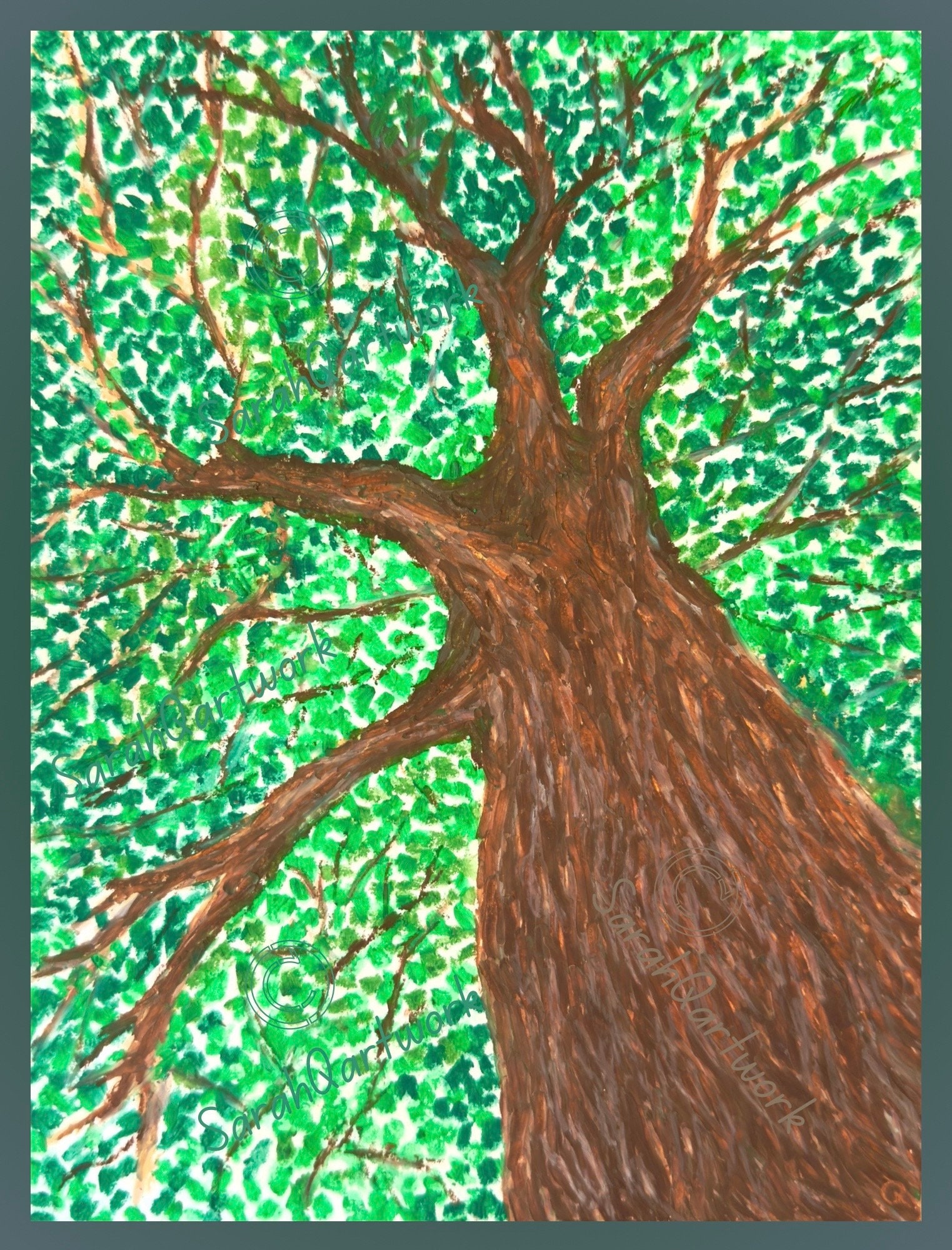 Camphor Tree Canopy View Art - Etsy