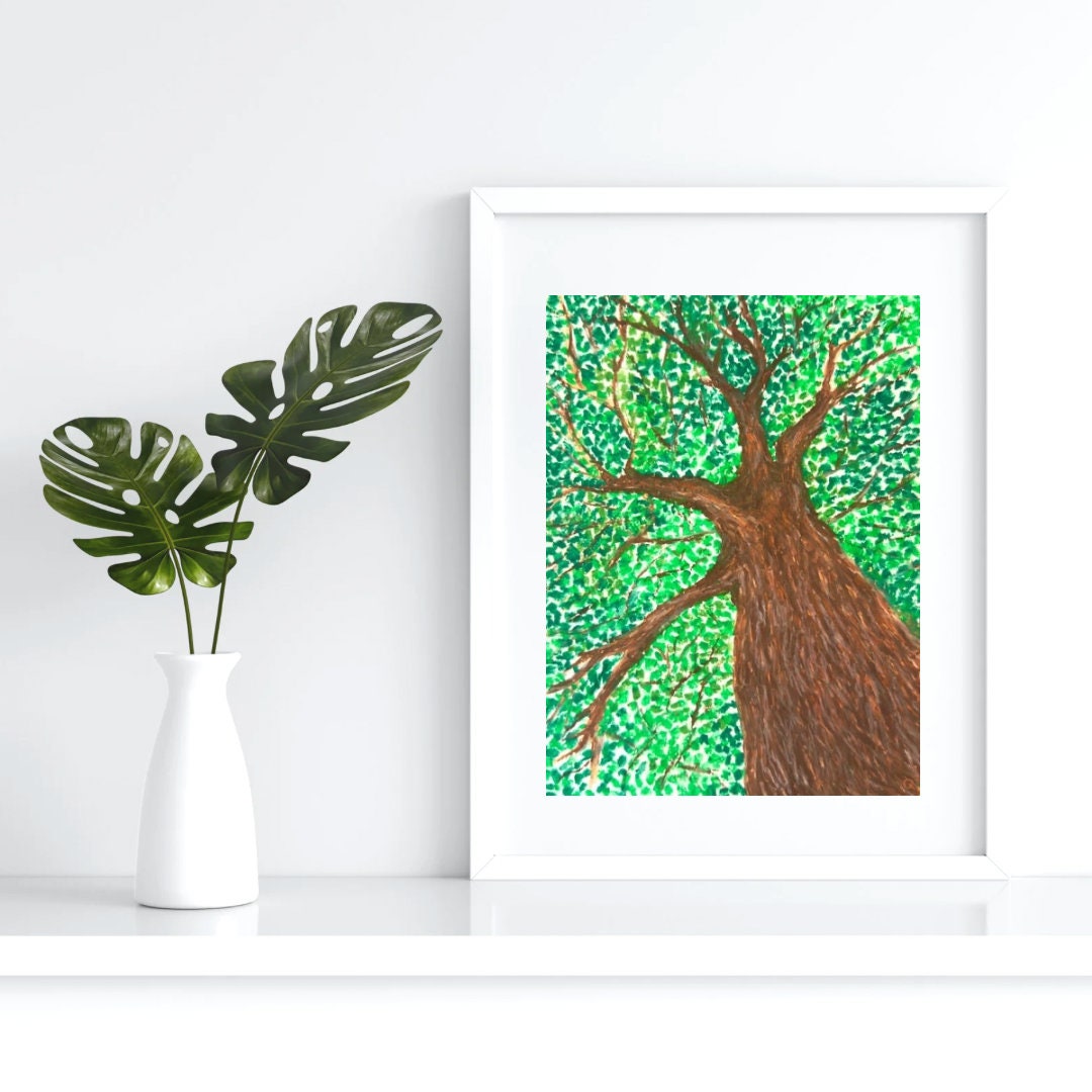 Camphor Tree Canopy View Art - Etsy