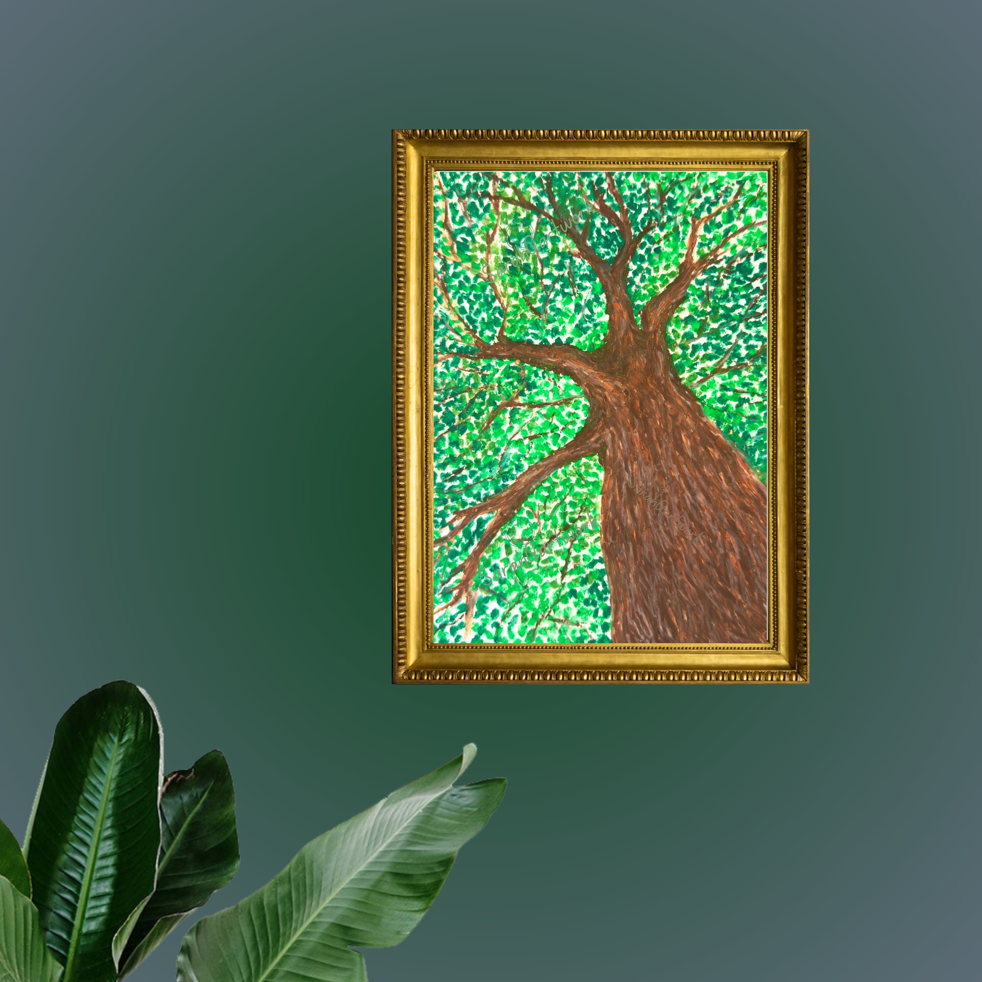 Camphor Tree Canopy View Art - Etsy