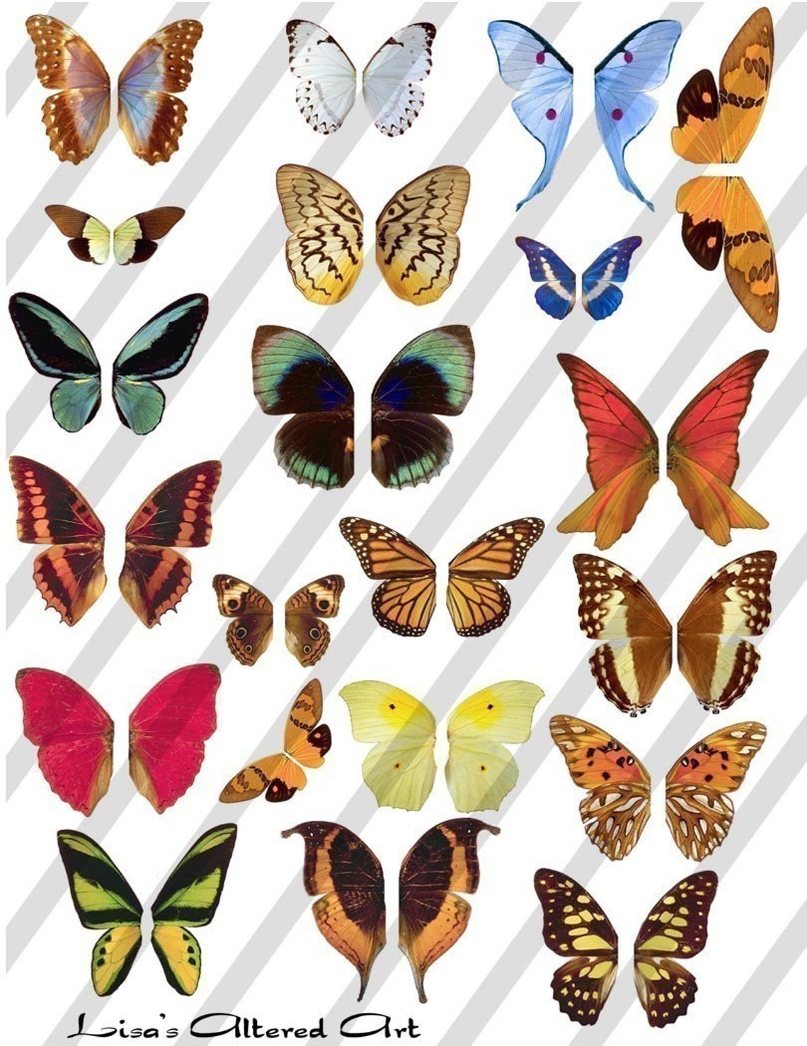 Digital Collage Sheet Wings sheet No. W9 Instant Download - Etsy