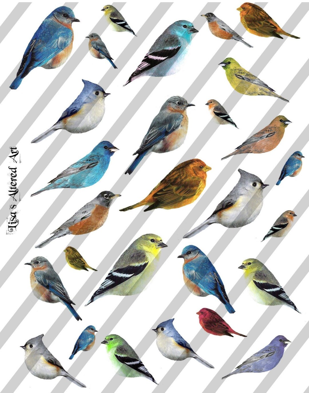 Digital Collage Sheet Birds sheet No. FS2 Instant Download - Etsy