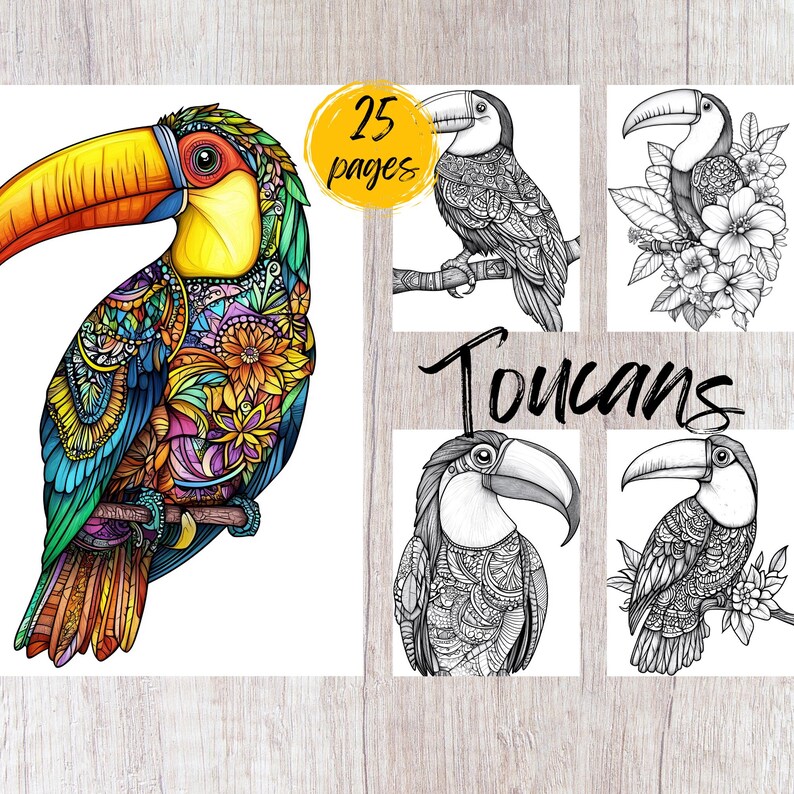 25 Toucan Coloring Pages, Printable Coloring Book PDF, Animal Coloring ...