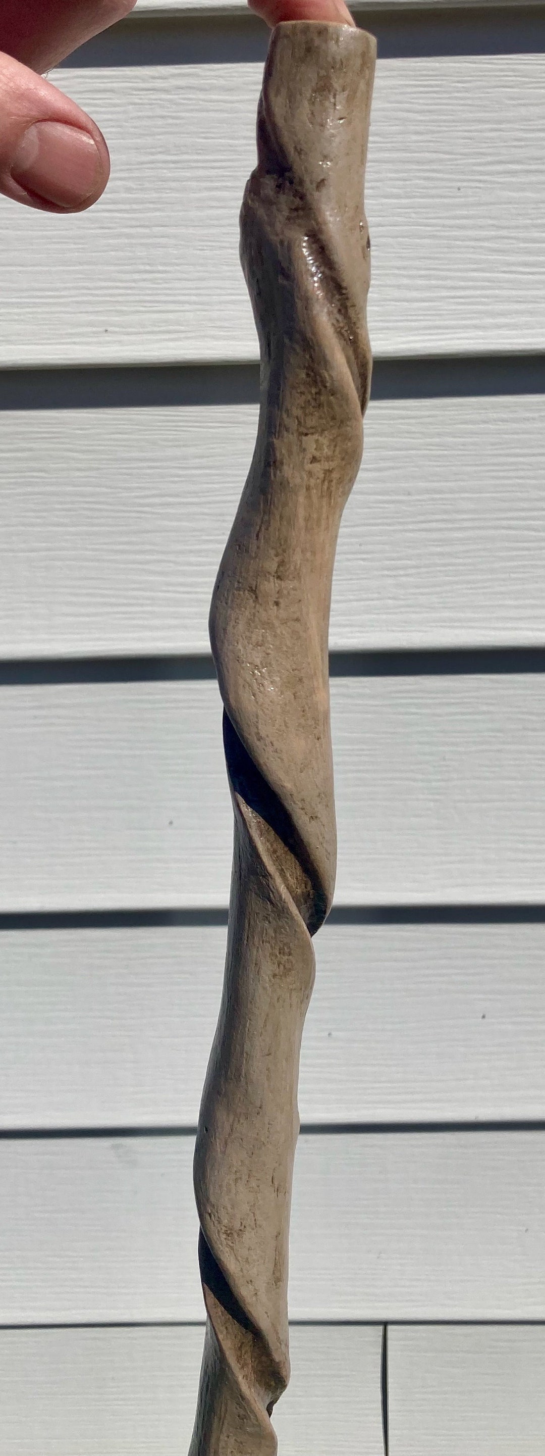 Kentucky Vine Curled Walking Stick / Hiking Stick / Journey Stick ...