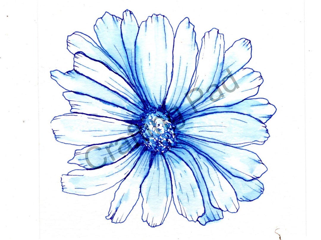 Hand Drawn Blue Flower - Original Ink Drawing - Printable PNG File ...