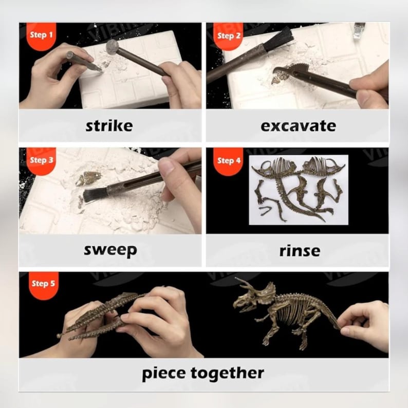 Dinosaur Skeleton Digging Kit for Kids - Excavation Fossil Set for Boys ...