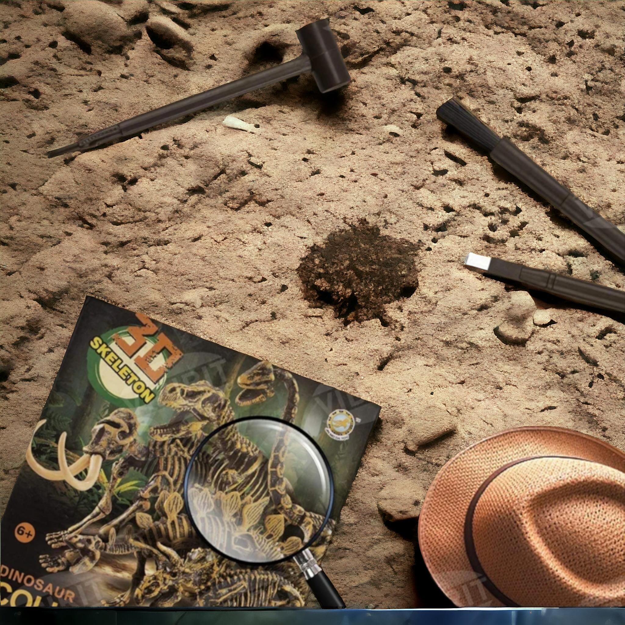 Dinosaur Skeleton Digging Kit for Kids - Excavation Fossil Set for Boys ...