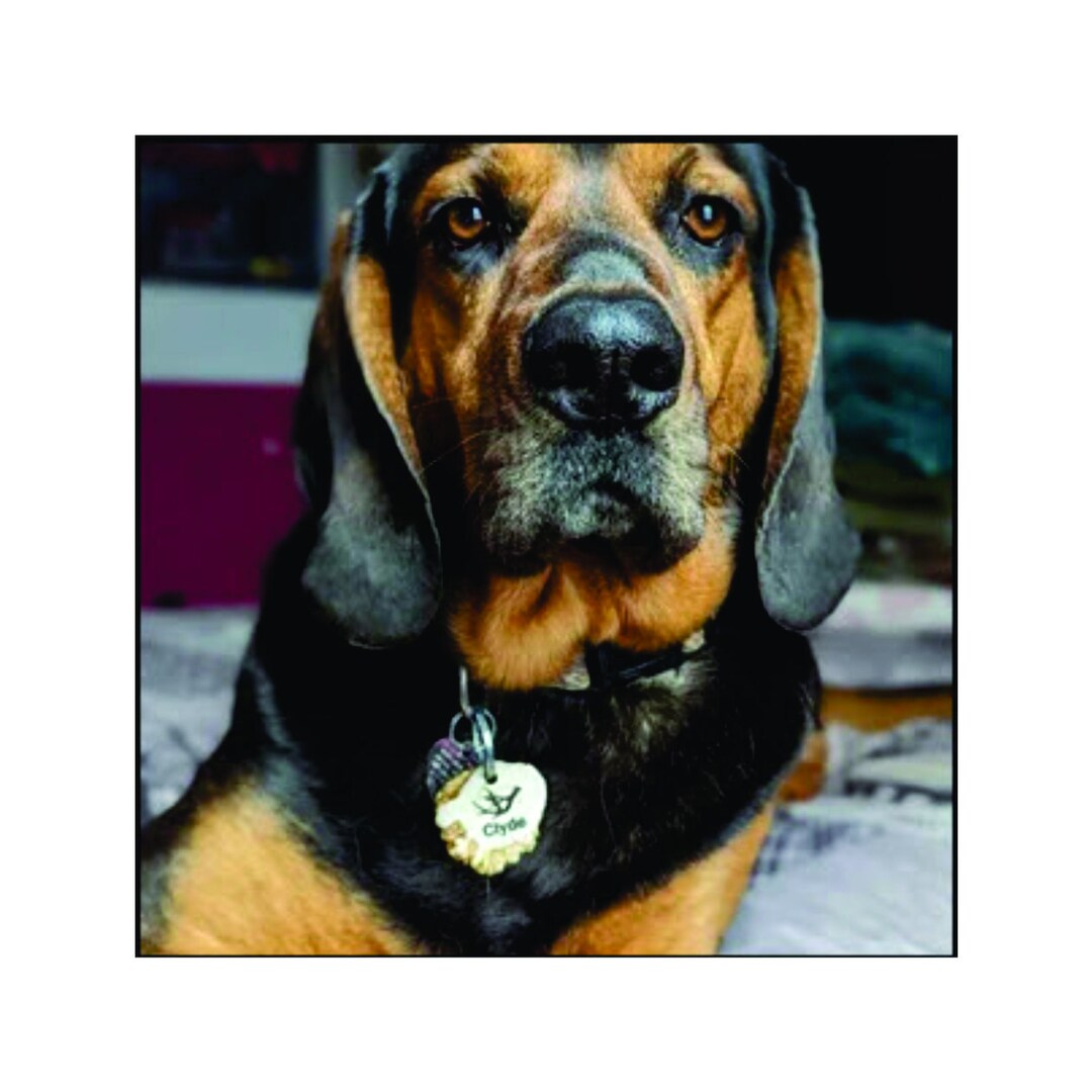 Deer Antler Key Ring Personalized Keyring Engraved Keyring Custom Key ...