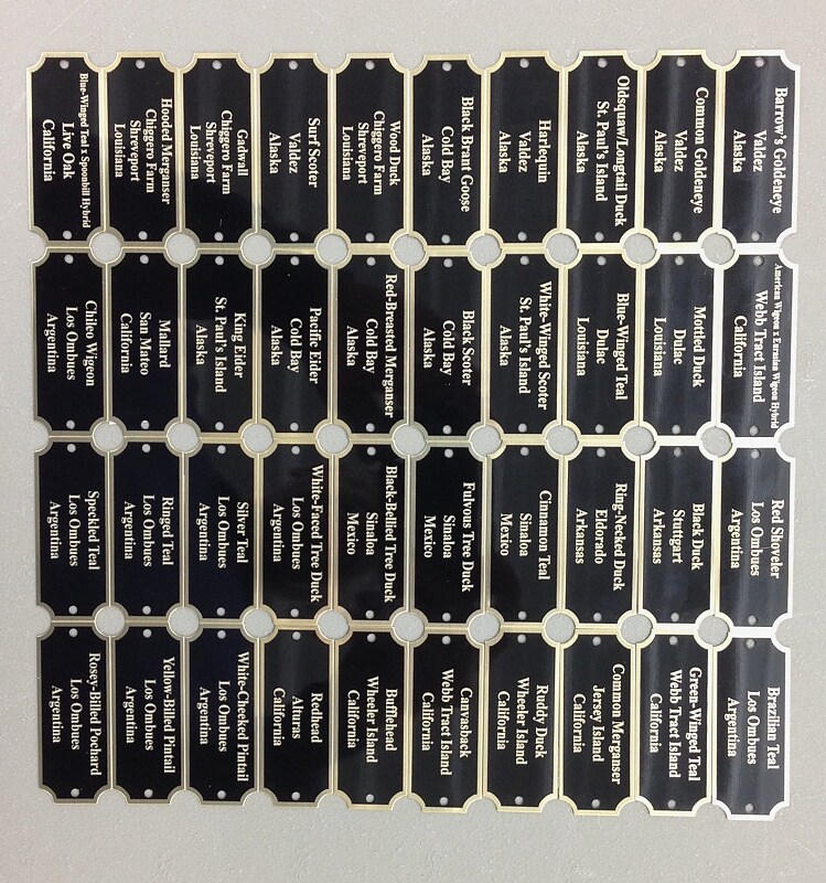 Engraved Brass Name Plate Trophy Awards ID Name Tag Name Tag - Etsy