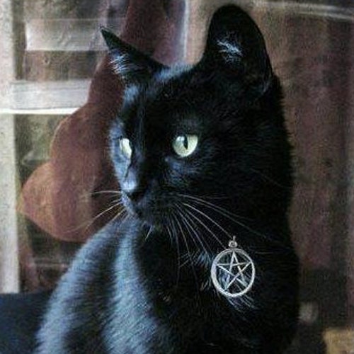 Witches Familiar Pentacle Cat Collar Adjustable in Black - Etsy