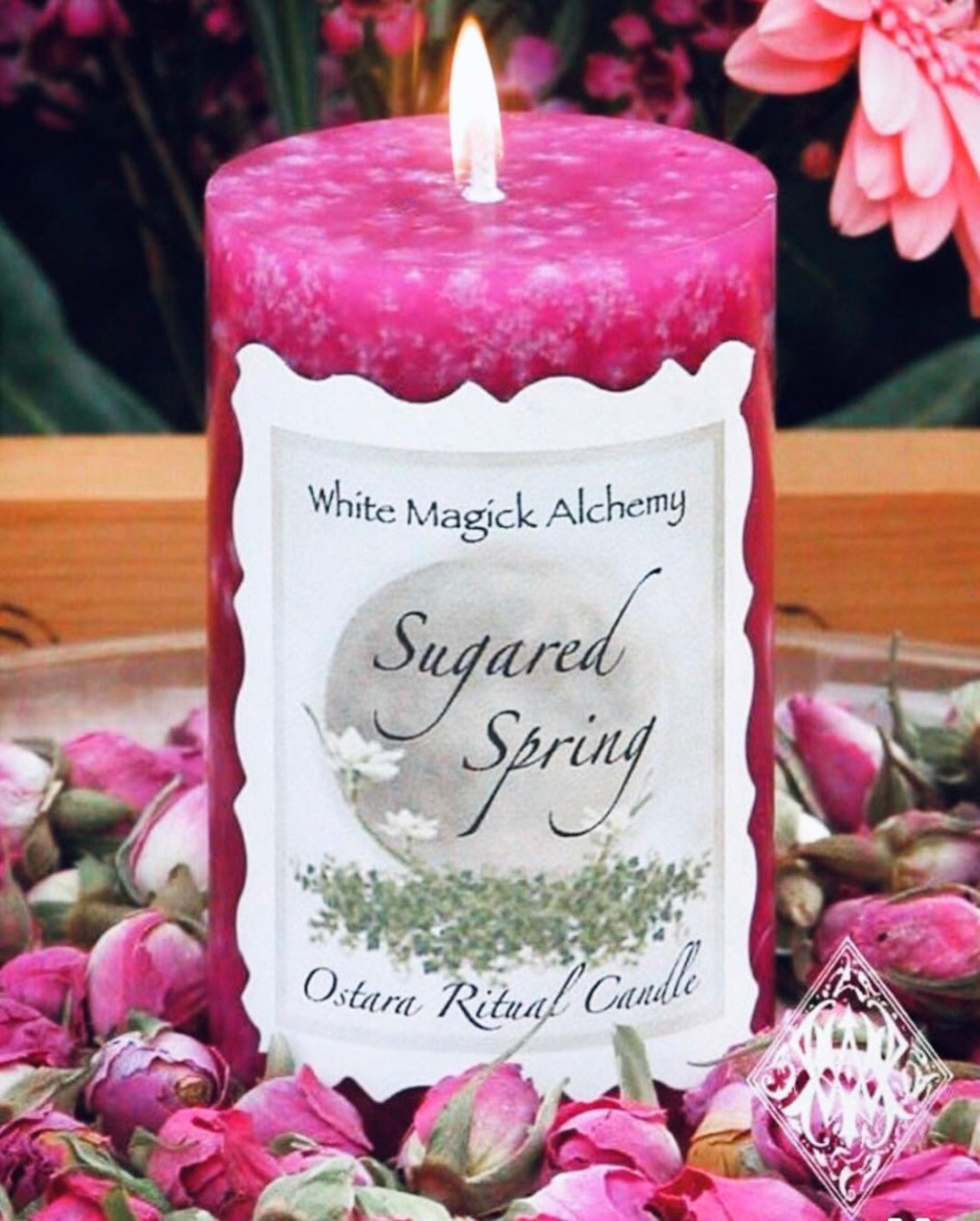 Pink Sugar Candles for Spring, Sugared Spring - Etsy