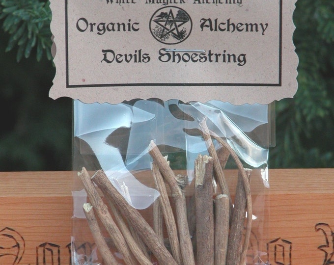 Devils Shoestring . for Luck, Employment, Gambling, Money, Protection ...