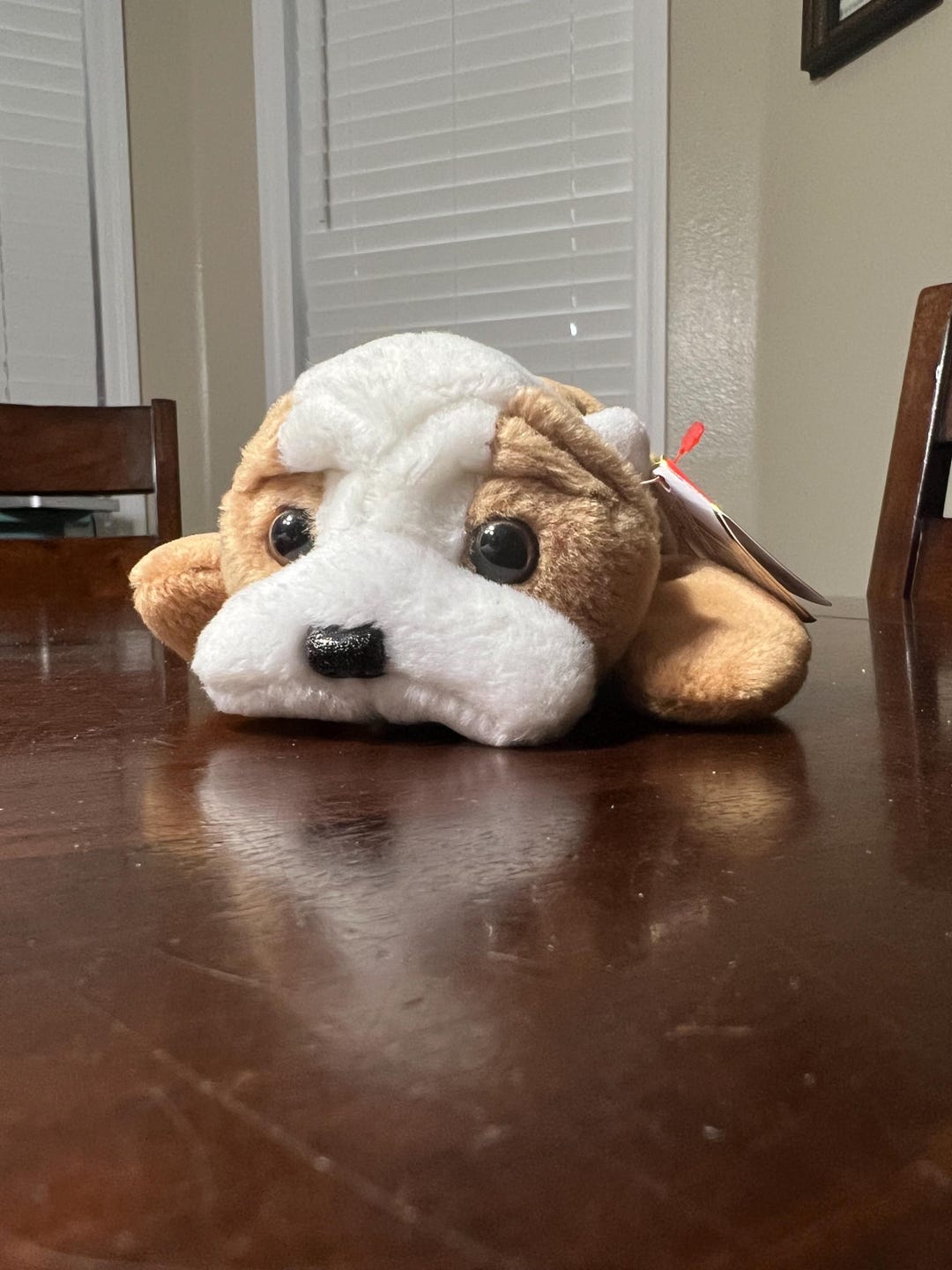 1996 Ty Beanie Baby Wrinkles the Dog Bulldog - Etsy