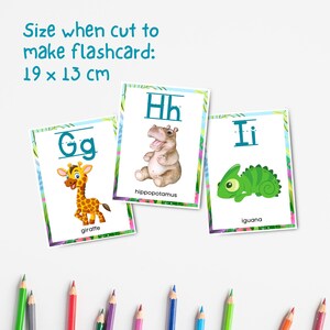 Animal Alphabet Flashcard Printable Animals Alphabet Cards for ...