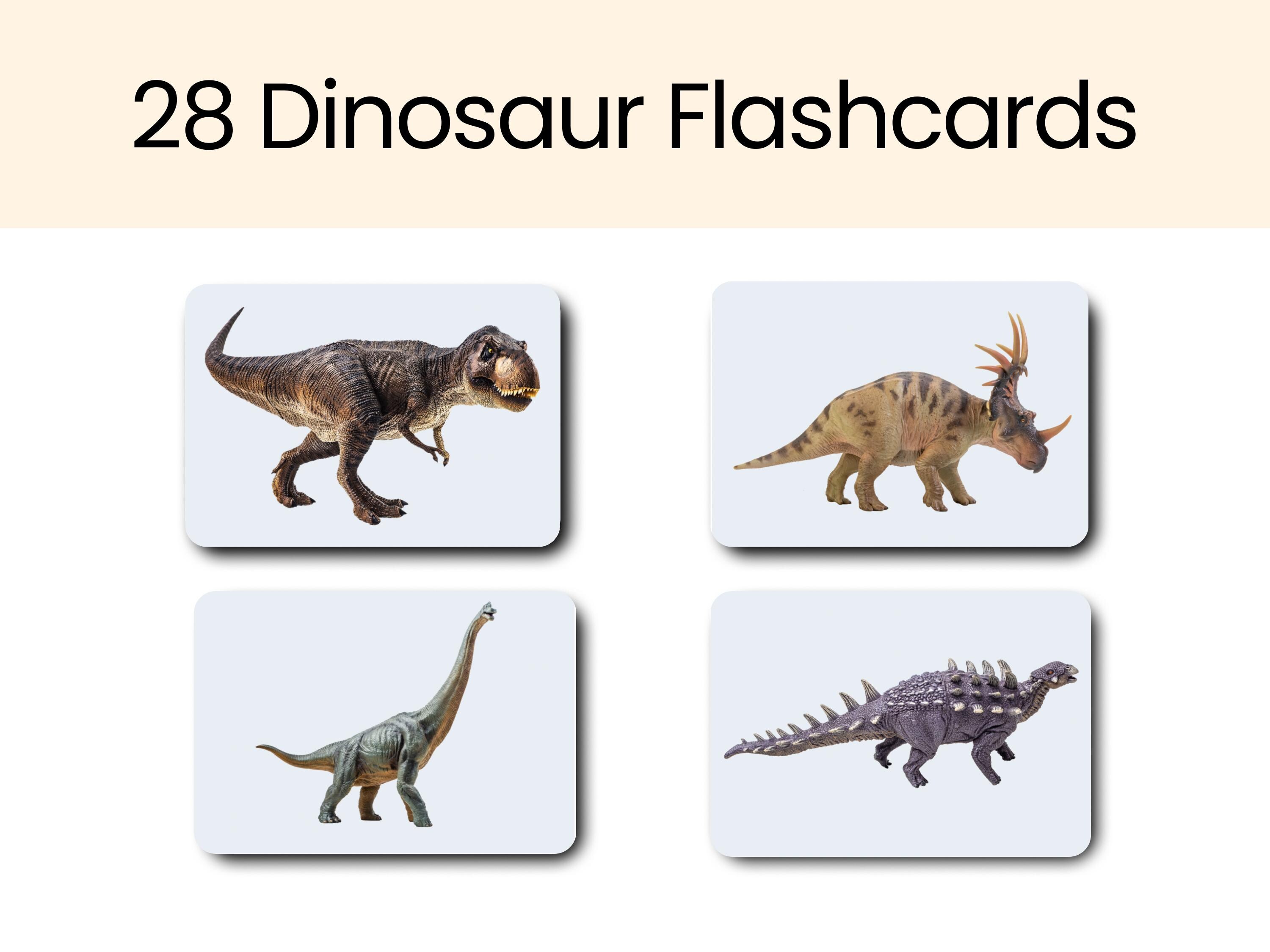 Dinosaur Flashcards Toddler Learning Materials for Preschool Curriculum ...