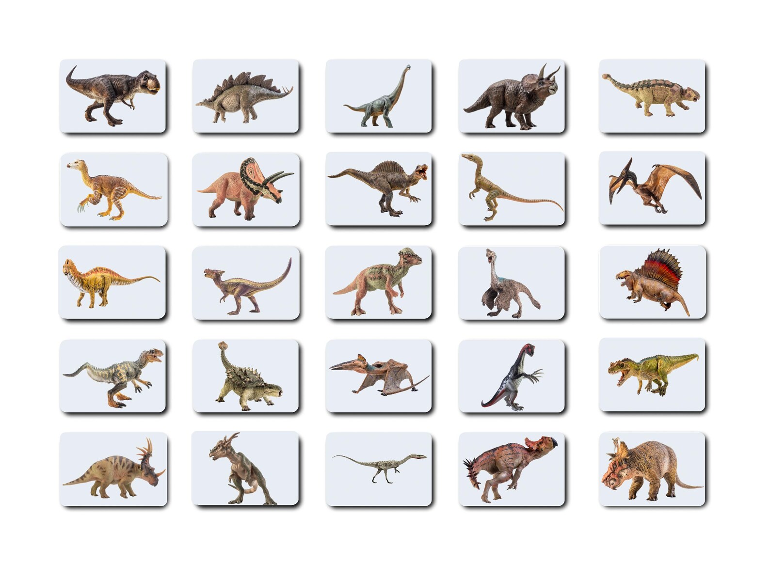 Dinosaur Flashcards Toddler Learning Materials for Preschool Curriculum ...