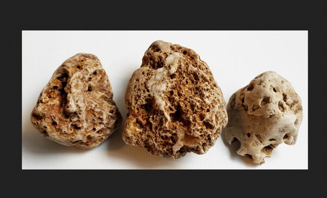 3 Quartz Crystal Holy Rocks Nugget Stones Gemstone Montana Minerals ...