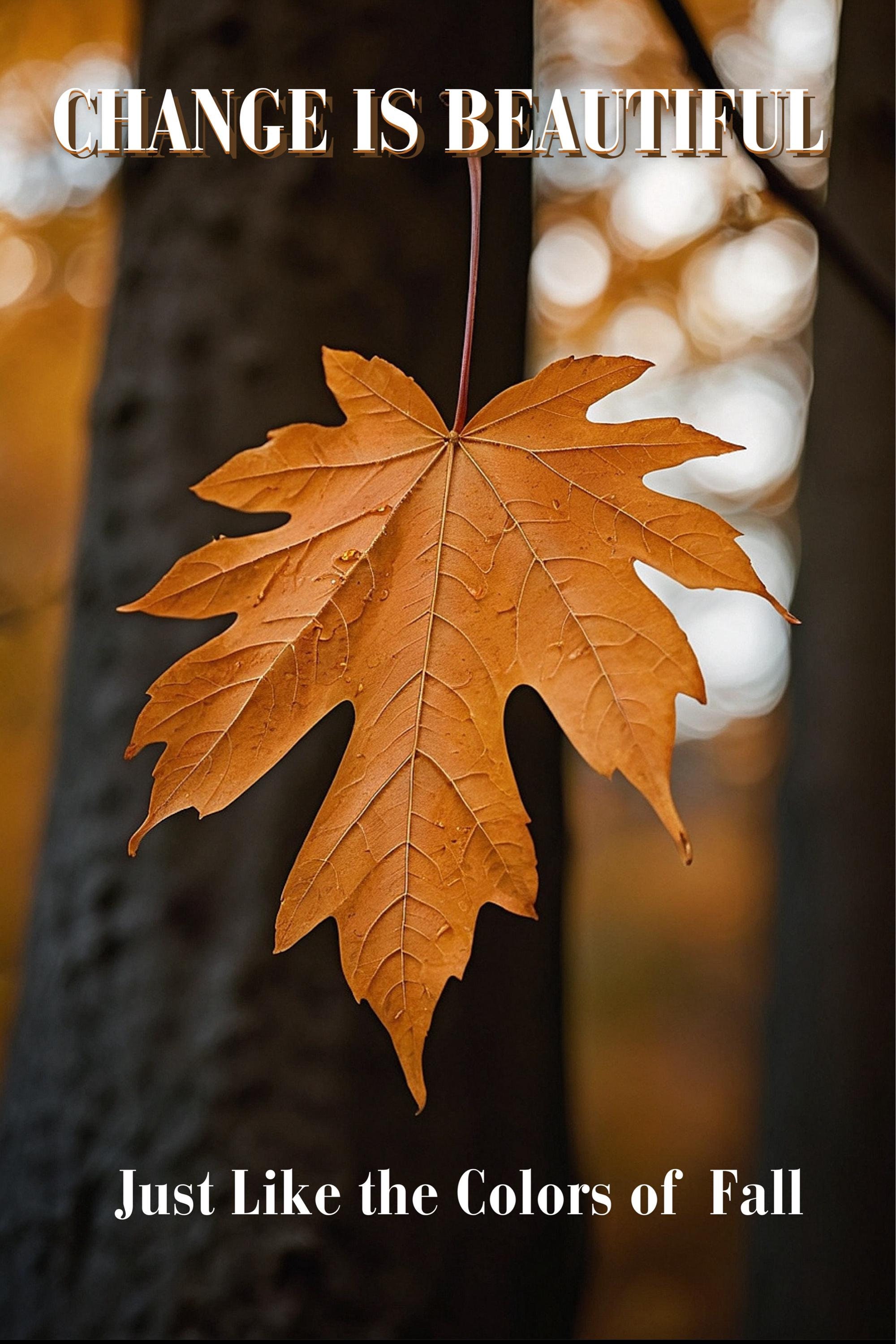 Celebrate Change Embrace the Colors of Fall - Etsy