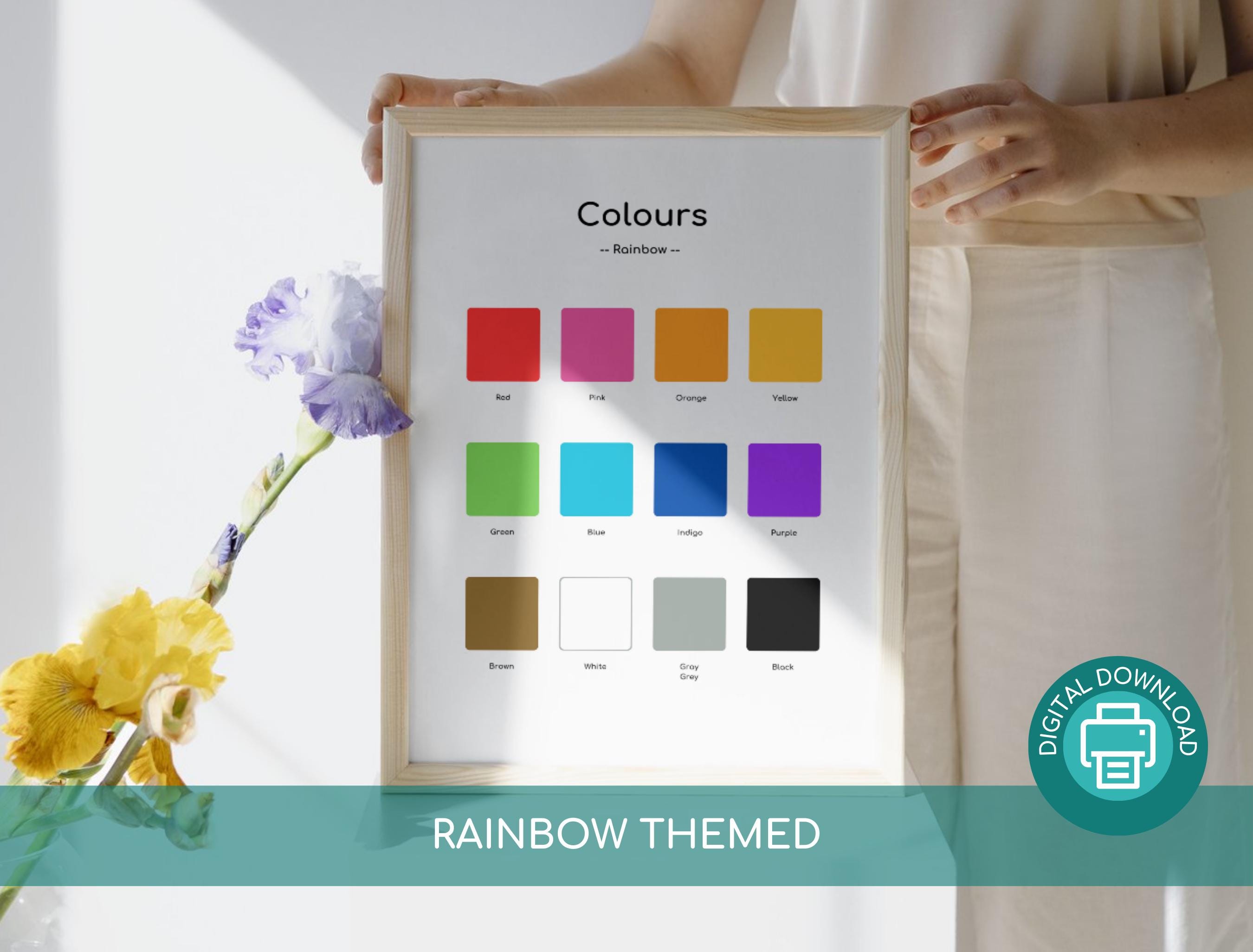 Color Educational Wall Art Classroom Posters Homeschool Printables ...