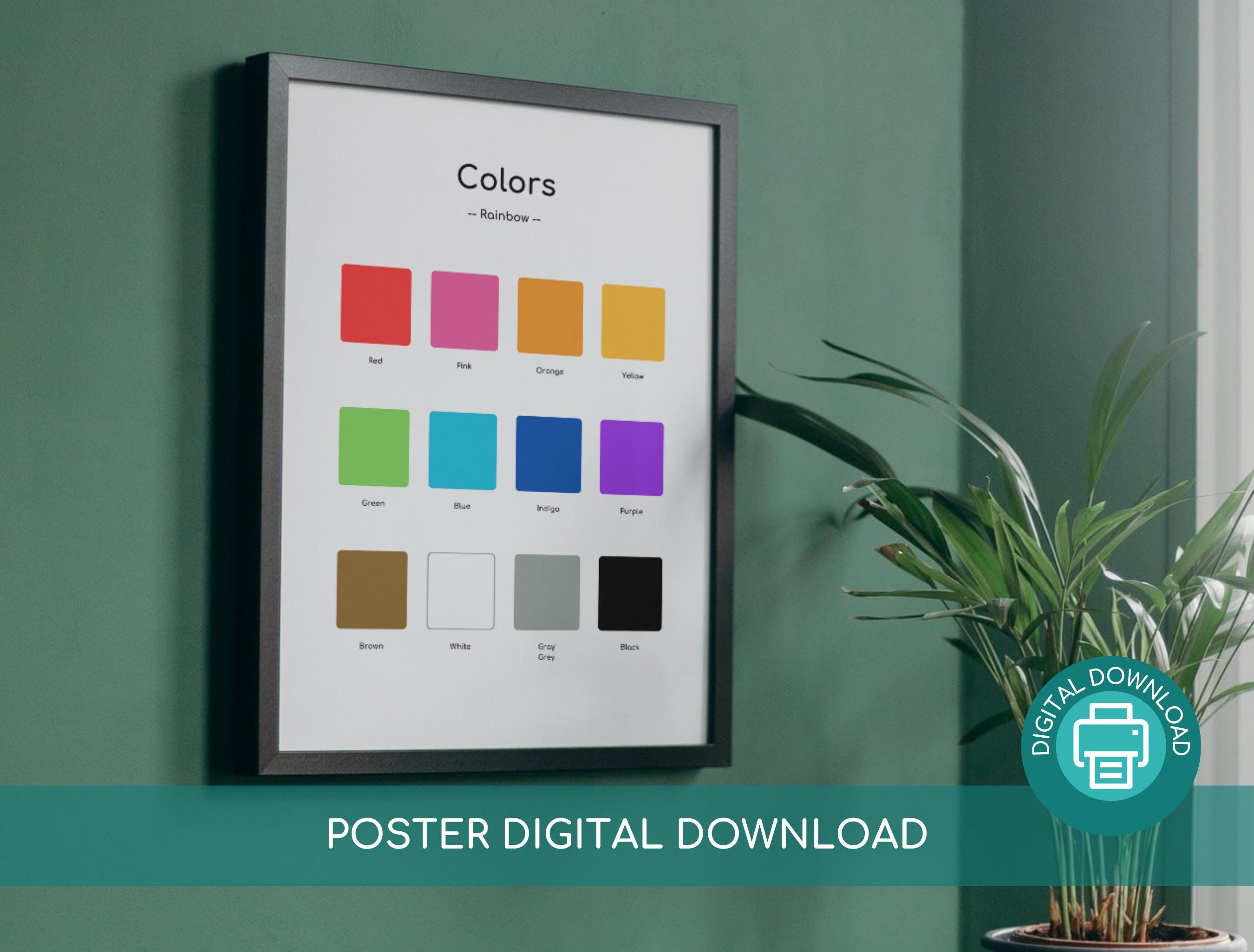 Color Educational Wall Art Classroom Posters Homeschool Printables ...