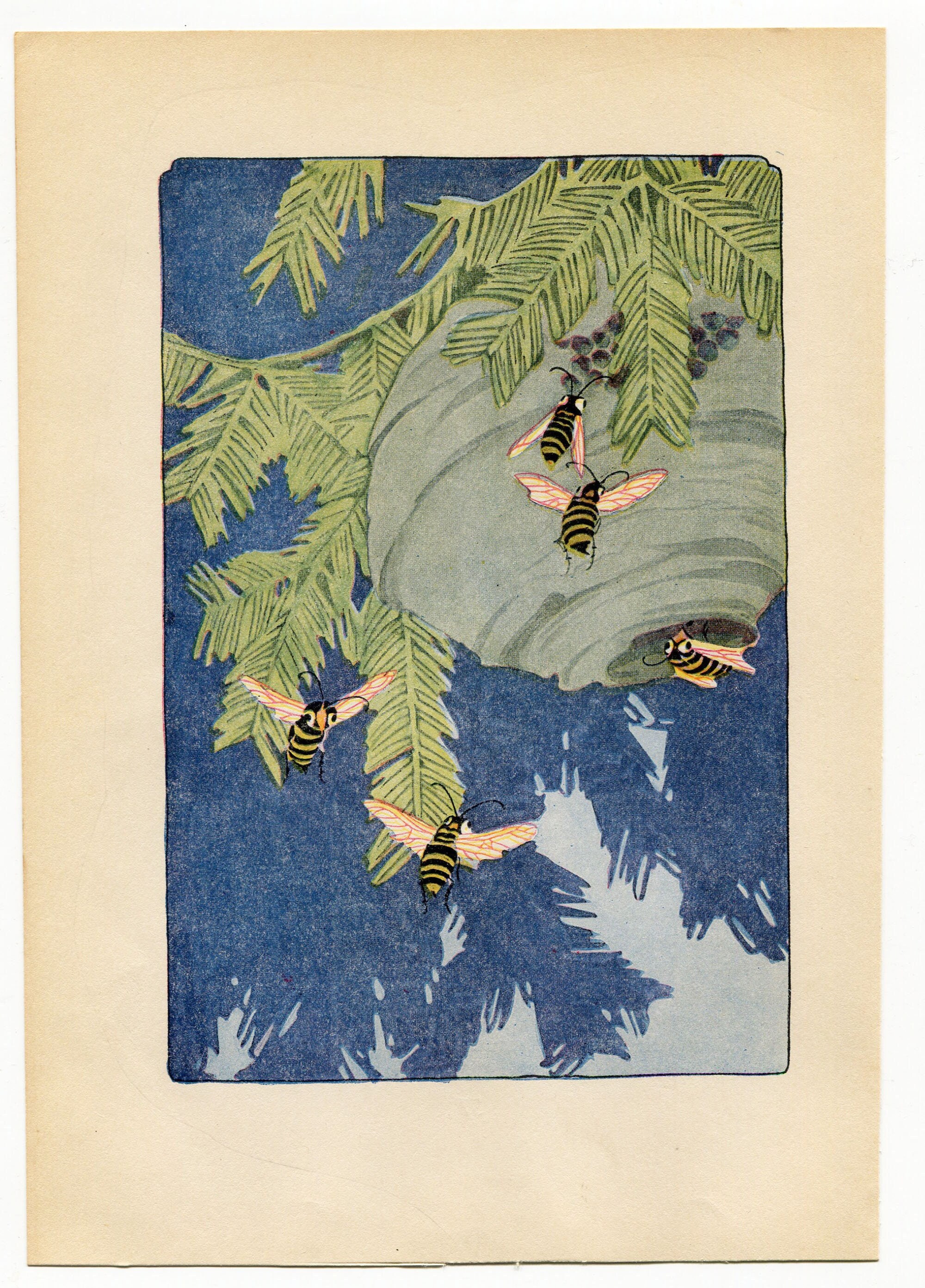 Vintage 1920's Big Paper Wasps Nest in the Tree Illustration, Print ...