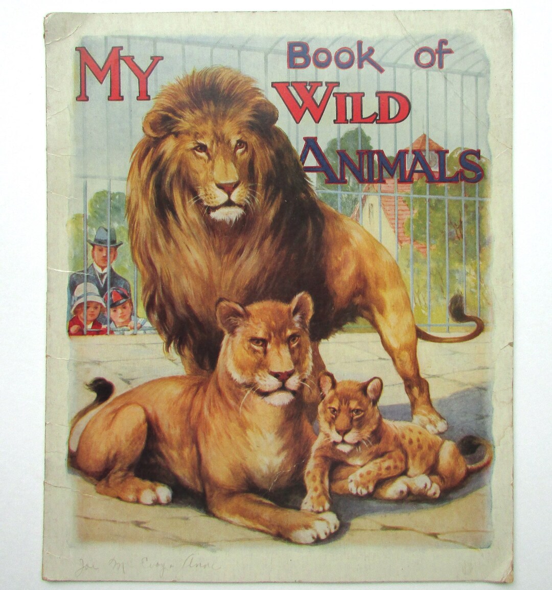 Graphic Vintage Child's 1930's My Book of Wild Animals Large Format ...