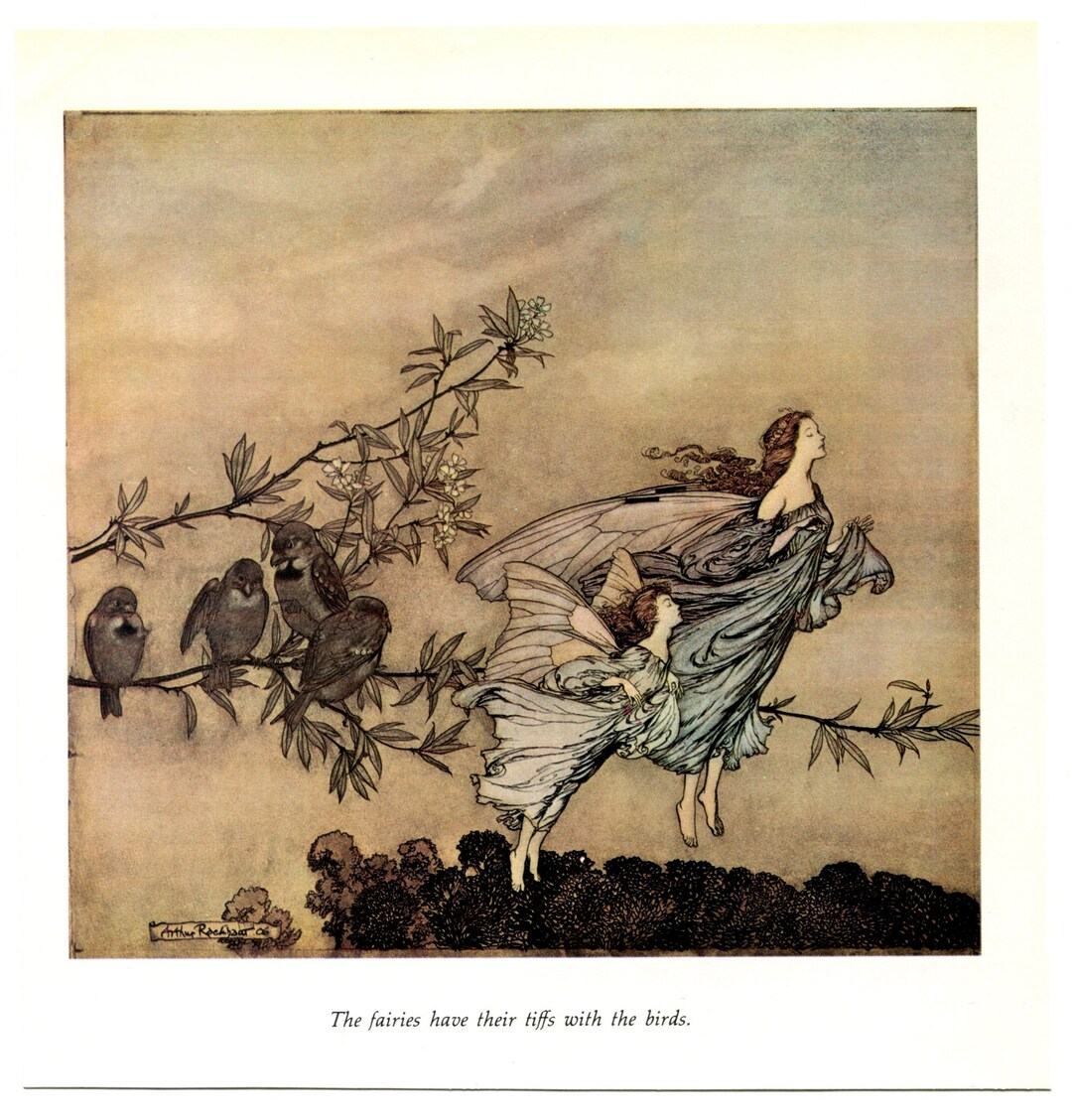 Vintage 1970's Arthur Rackham Bookplate, Illustration Print, Fairies ...