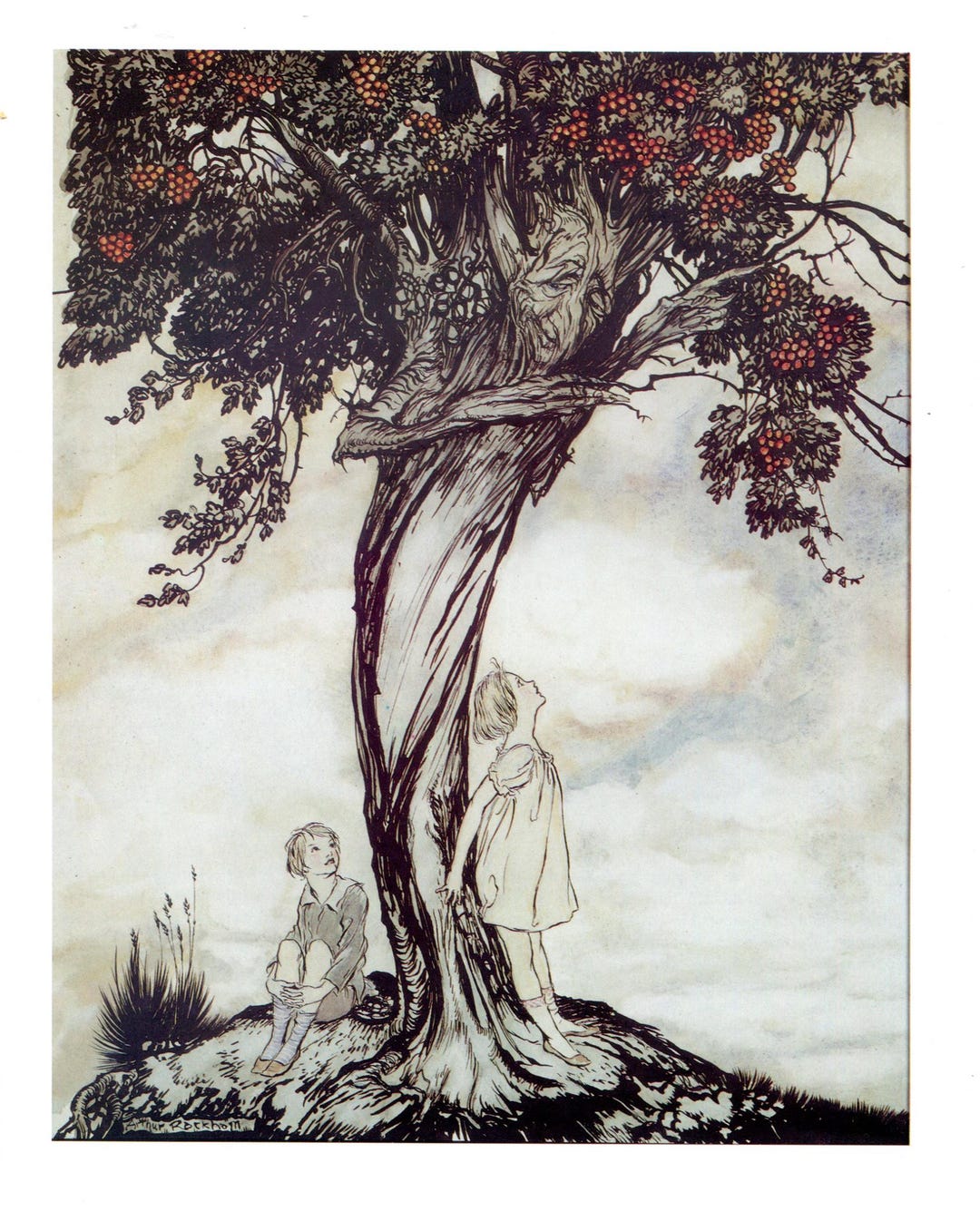 Vintage Original Arthur Rackham Bookplate, Illustration Print, Fairy ...