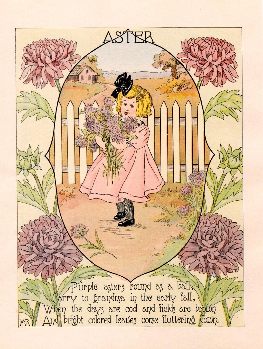 Antique 1905 Aster Flowers Original Illustration, Bookplate Print by Ida May Rockwell, Young ...