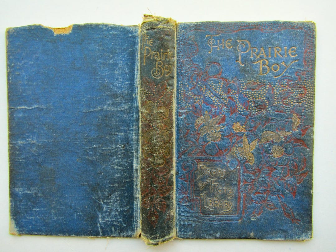 The Prairie Boy Antique 1900 Vtg Book Covers, Worn and Frayed Book ...