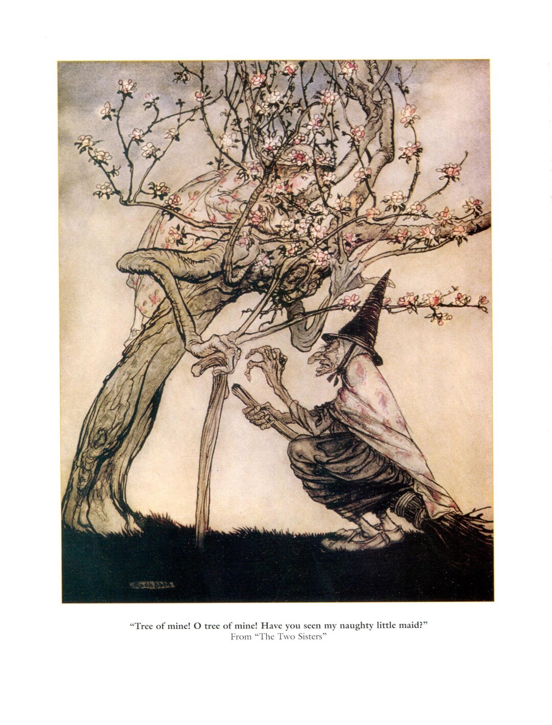 Vintage Original Arthur Rackham Bookplate, Illustration Print, Fairy ...