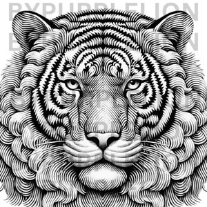 Tiger Black and White Line Art Collection SVG, PNG, JPG - Etsy