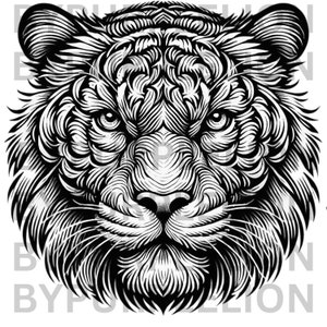 Tiger Black and White Line Art Collection SVG, PNG, JPG - Etsy