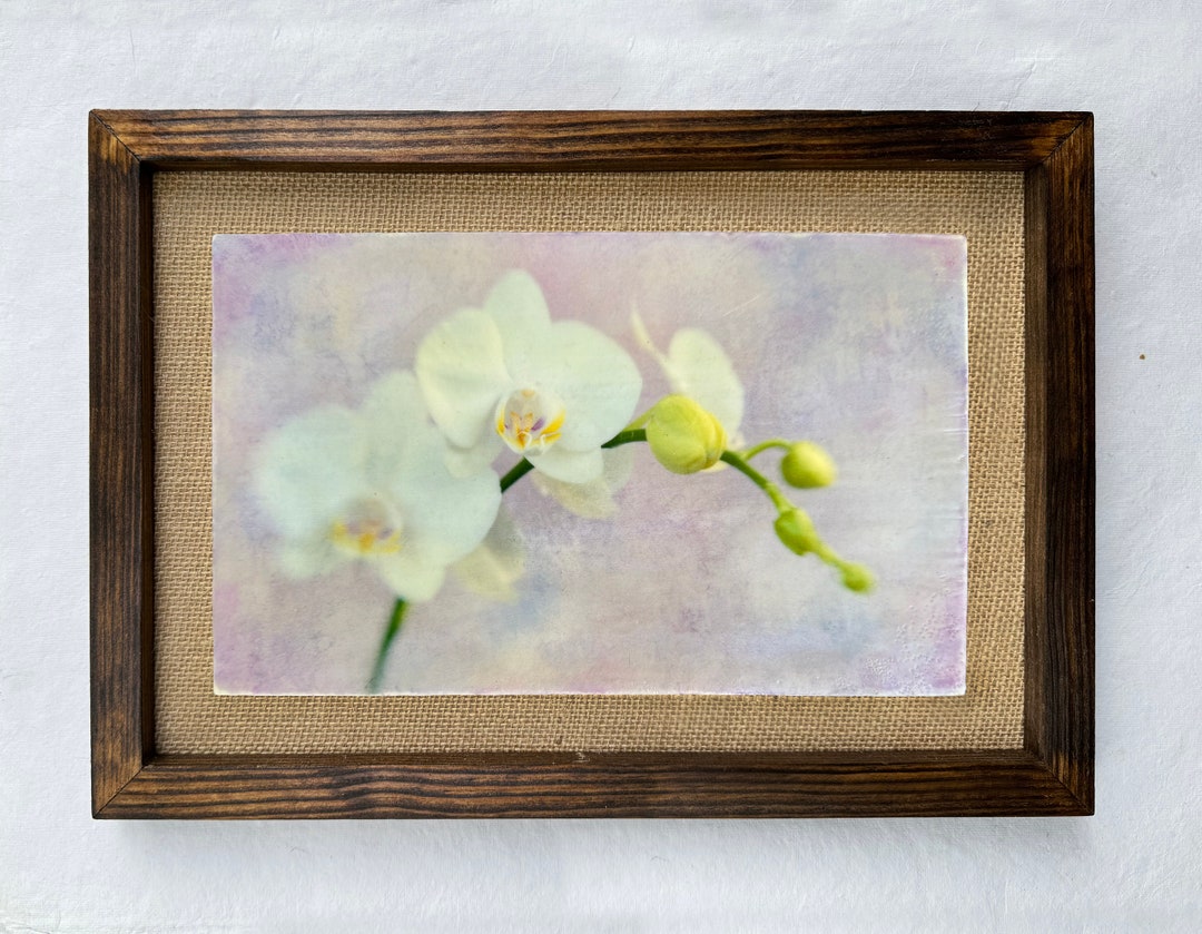Orchid Encaustic Floral Original - Etsy