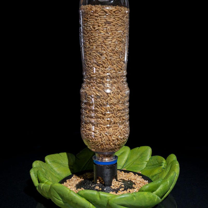 Soda Bottle Bird Feeders - Etsy