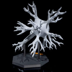 3D Printed Nerve Cell Cross-section – Dive Deep Into Neuroanatomy - Etsy