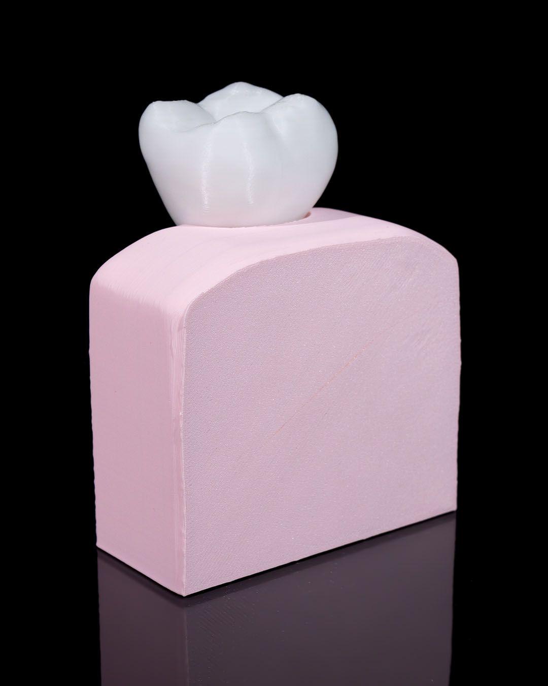 3D Printed Dental Implant Model – A Comprehensive Tool for ...