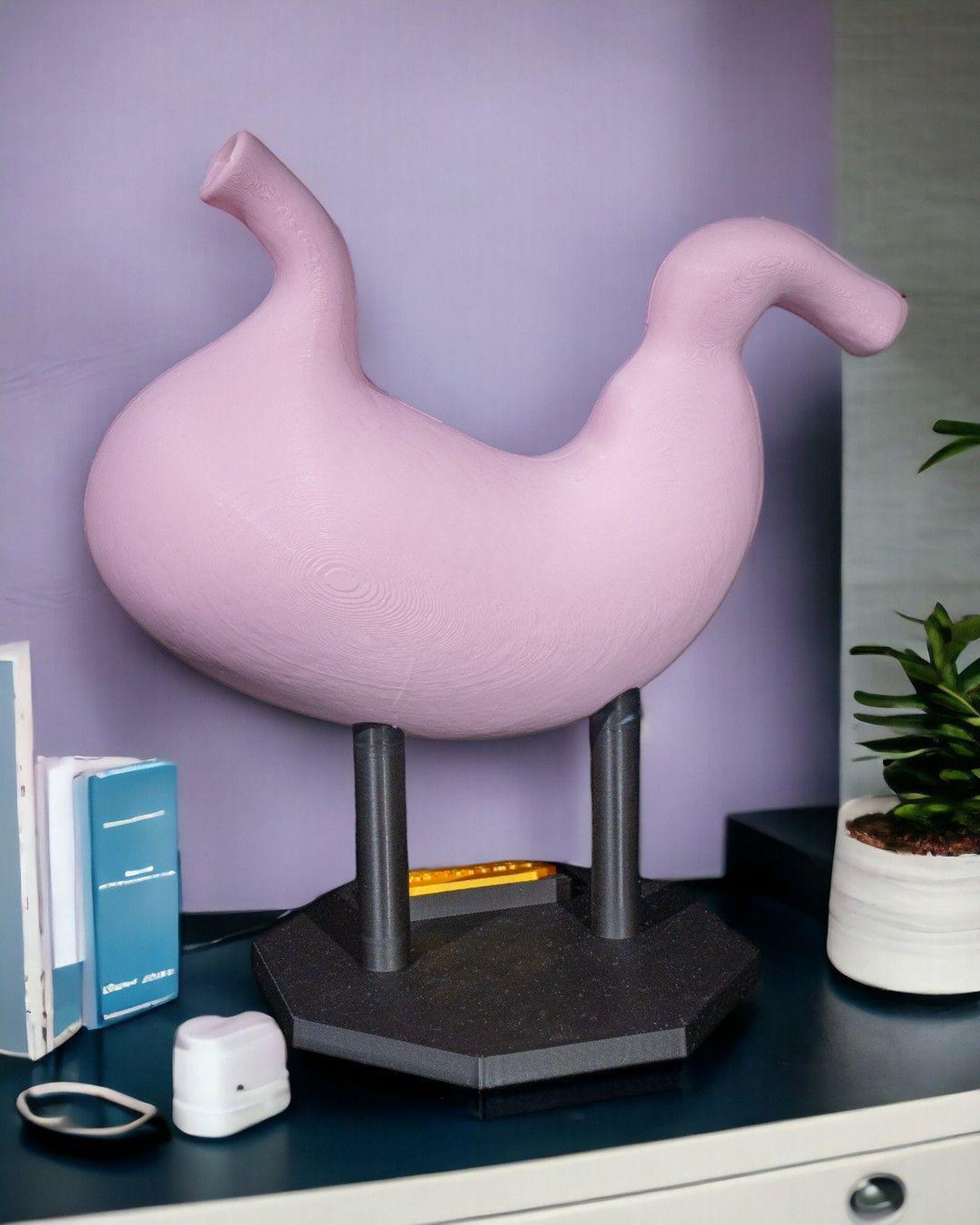 3D Printed Stomach Model – A Detailed Educational Tool for Digestive ...