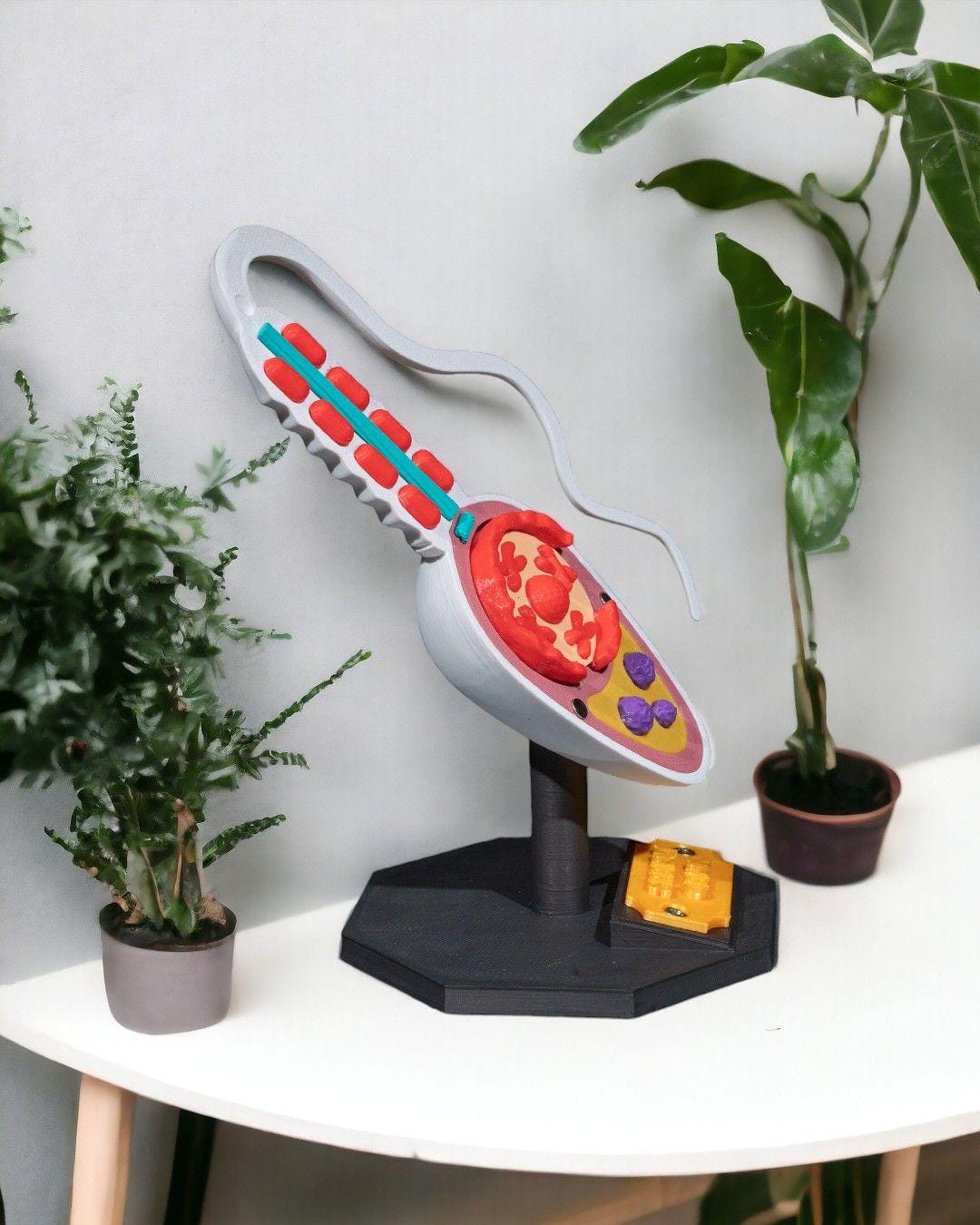 3D Printed Sperm Cell Model – A Must-have for Biology Classrooms! - Etsy