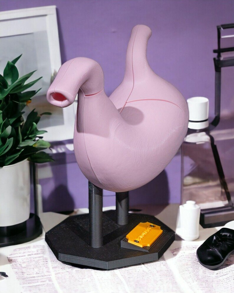 3D Printed Stomach Model – A Detailed Educational Tool for Digestive ...