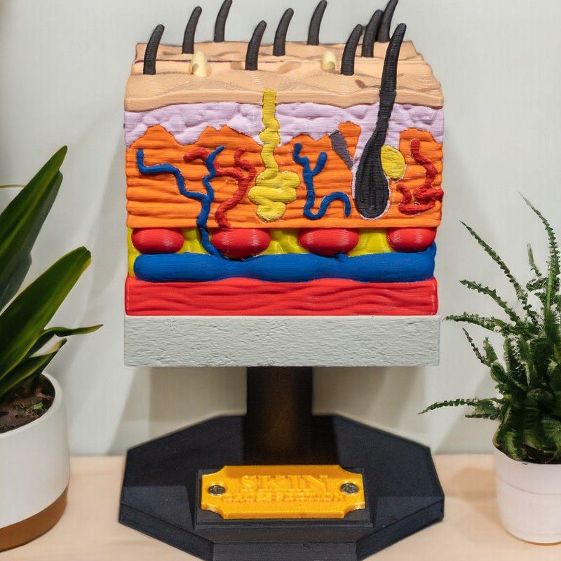 Alissa P14 Telegraph Model - Etsy Canada