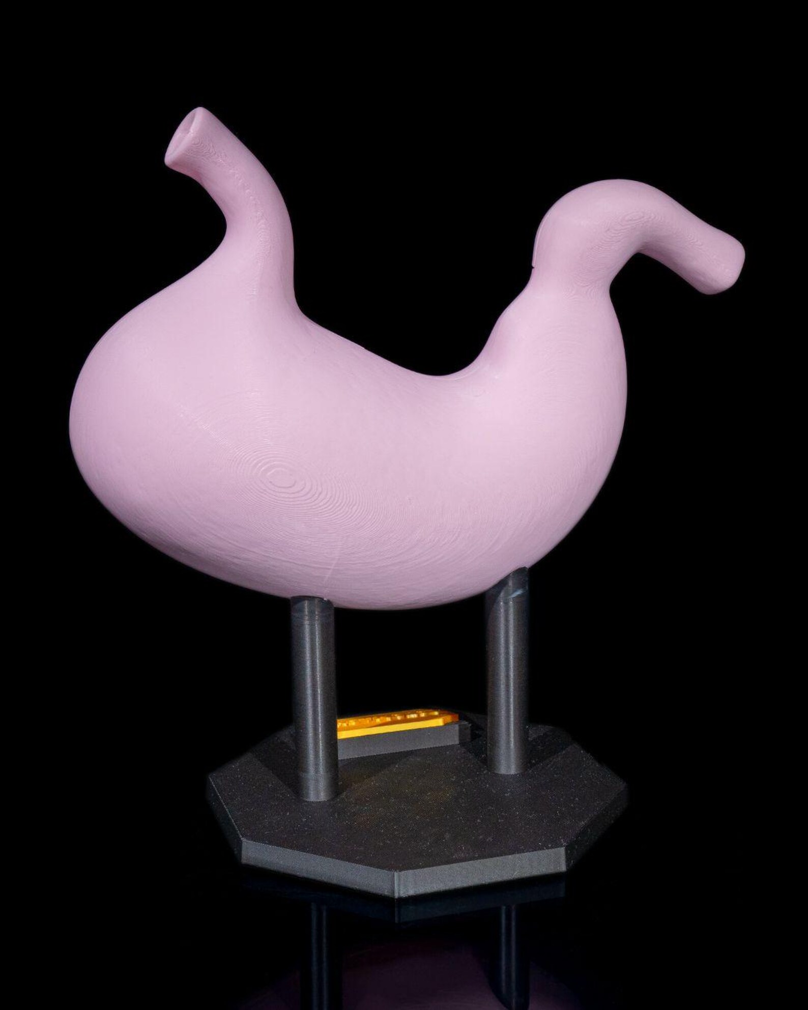 3D Printed Stomach Model – A Detailed Educational Tool for Digestive ...