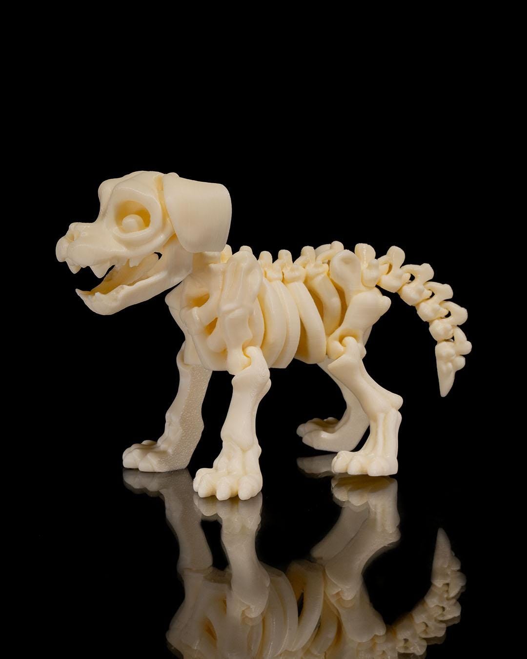 Articulating Skeleton Dog 3D Print the Perfect Halloween Companion - Etsy