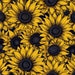 Sunflower Patterns Download Design Pack - Etsy
