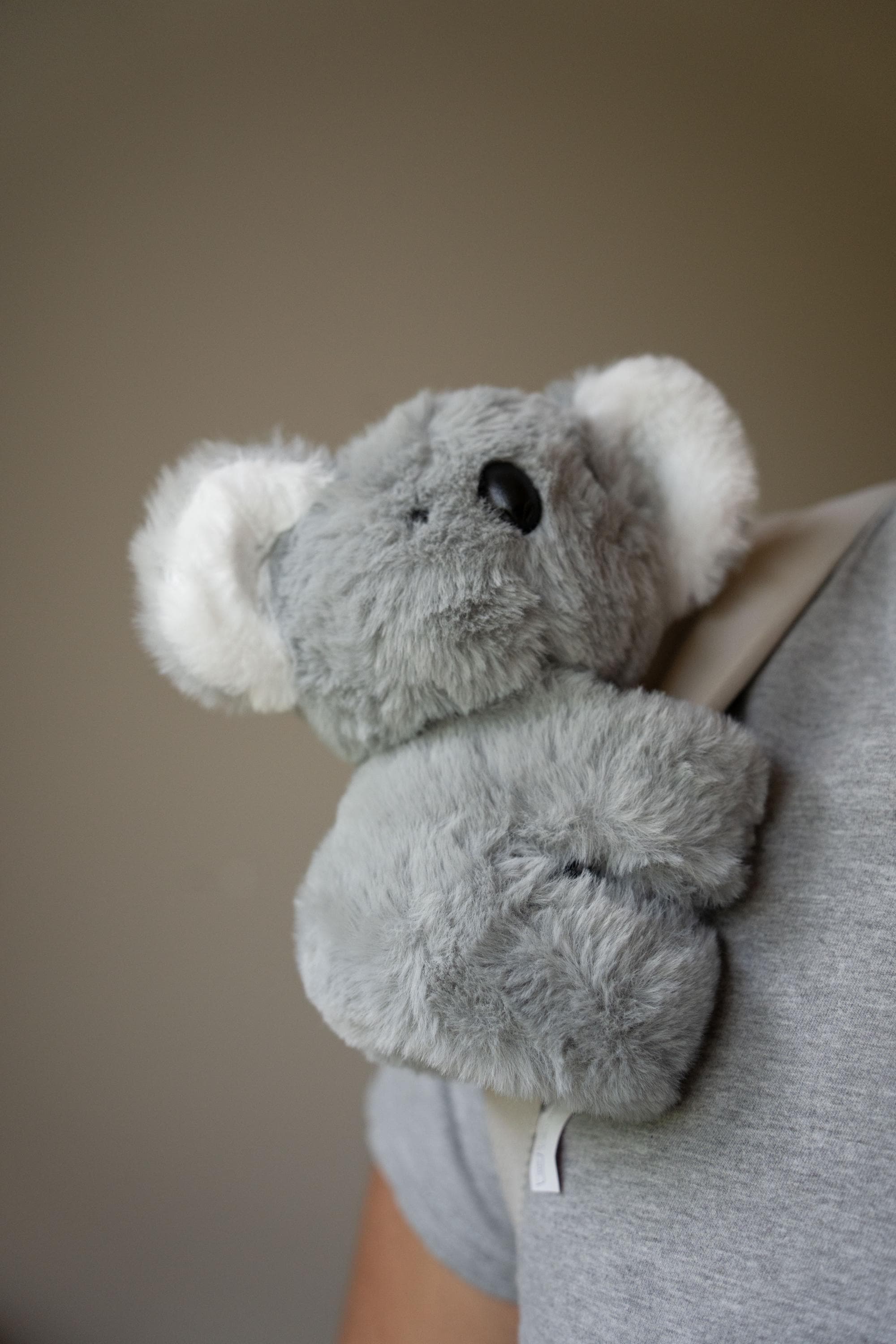 Koala Plushie, Koala Clingy Plushie, Koala Stuffed Animal, Koala Animal ...